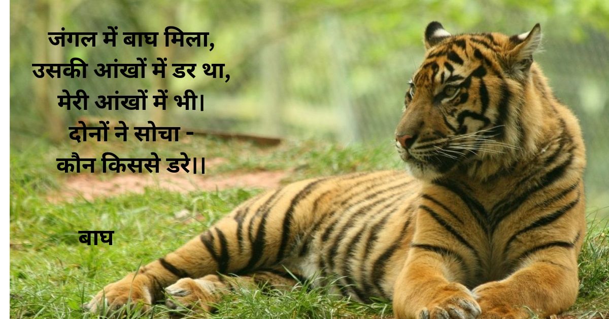 20+ Famous Hindi Poets and Their Most Celebrated Poems