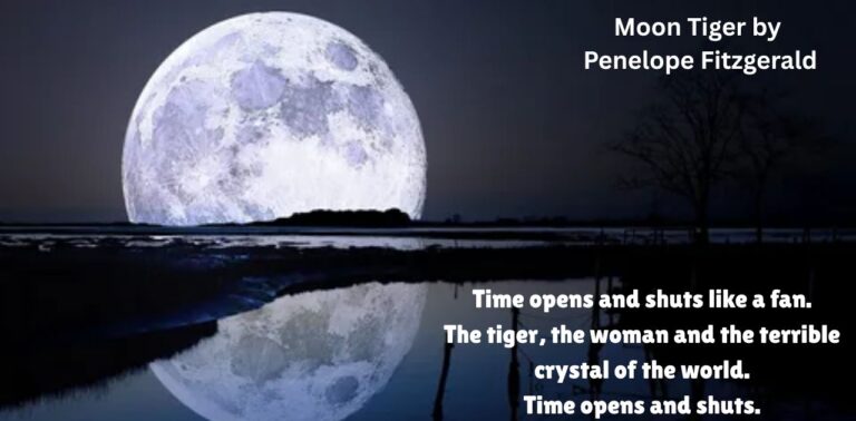 26+ Enchanting Poems About the Moon and Stars