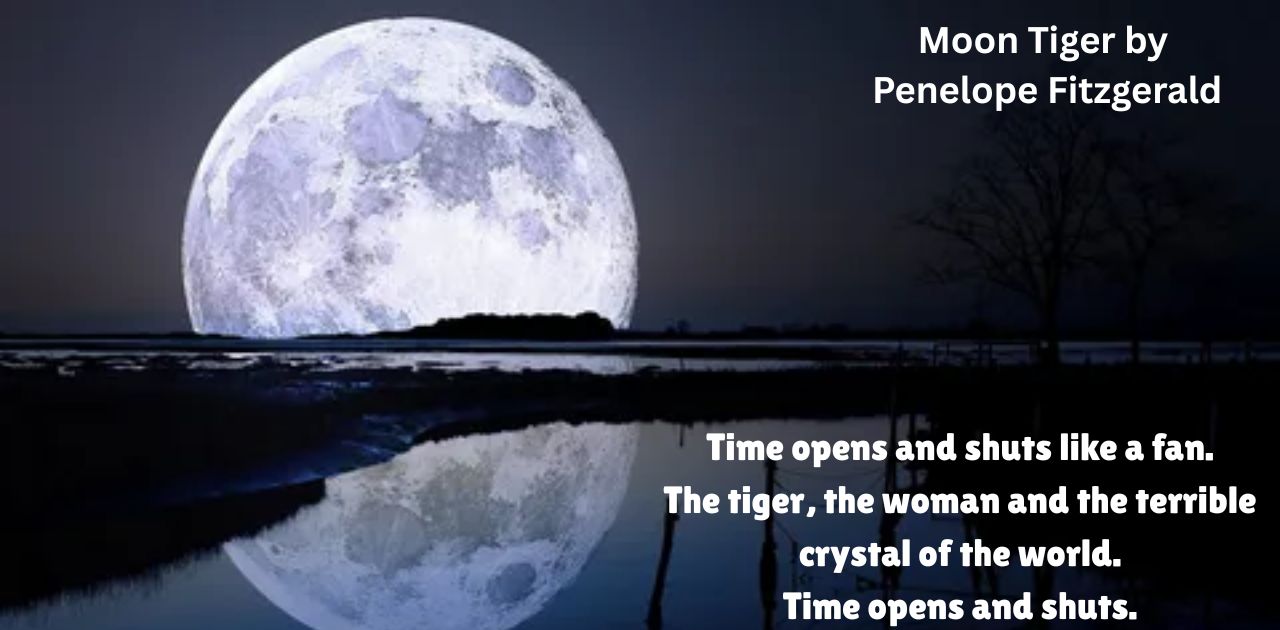 26+ Enchanting Poems About the Moon and Stars