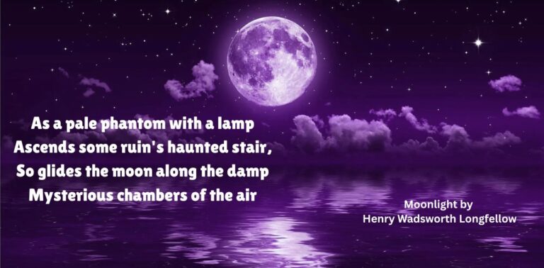 26+ Enchanting Poems About the Moon and Stars