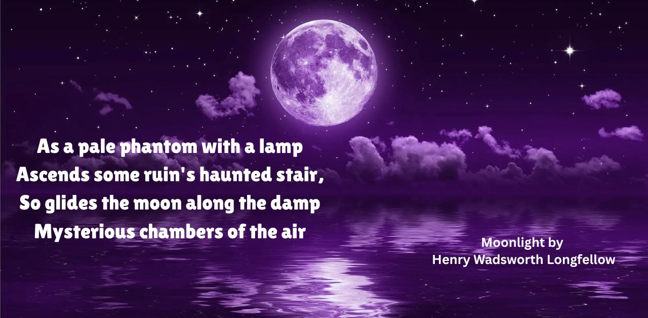 26+ Enchanting Poems About the Moon and Stars
