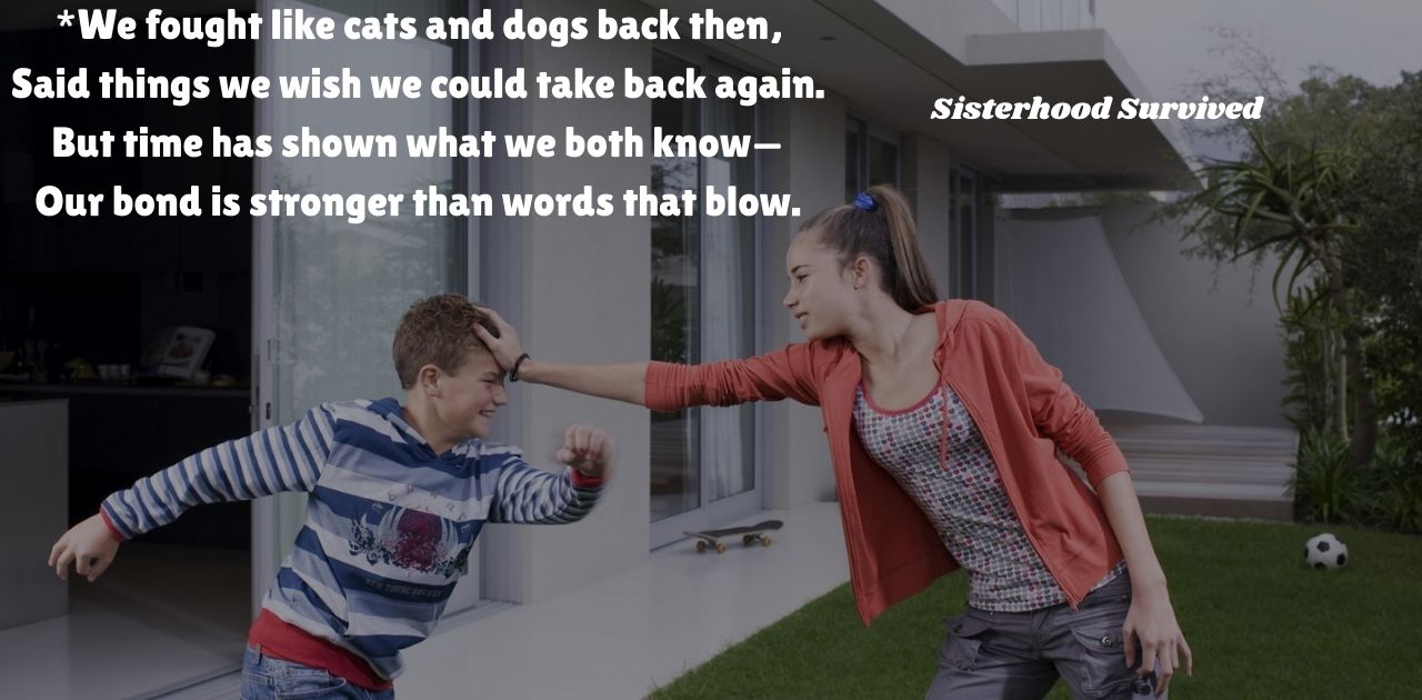 22+ Sister Poems That Make You Cry